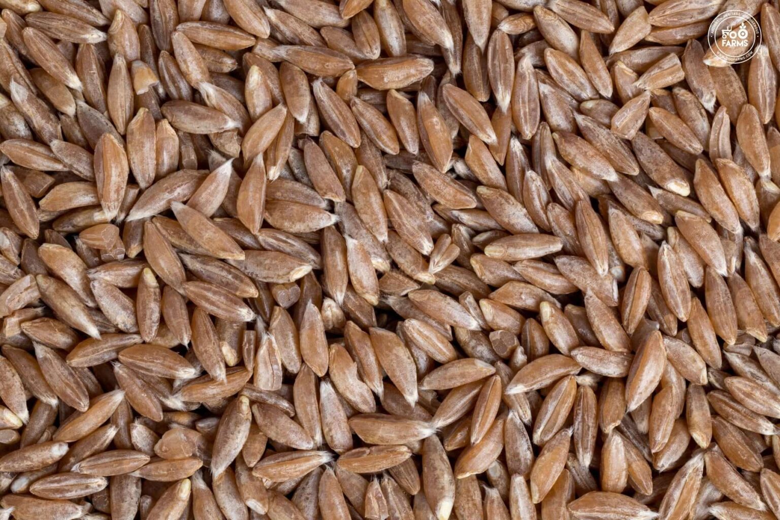 How to Mill Wheat Flour (Atta) at Home in India - Grounded Foods