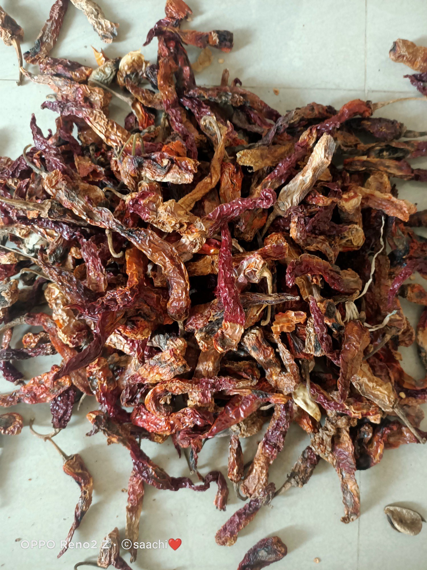 ( Cheap ) Chillis and Aflatoxins! - Grounded Foods