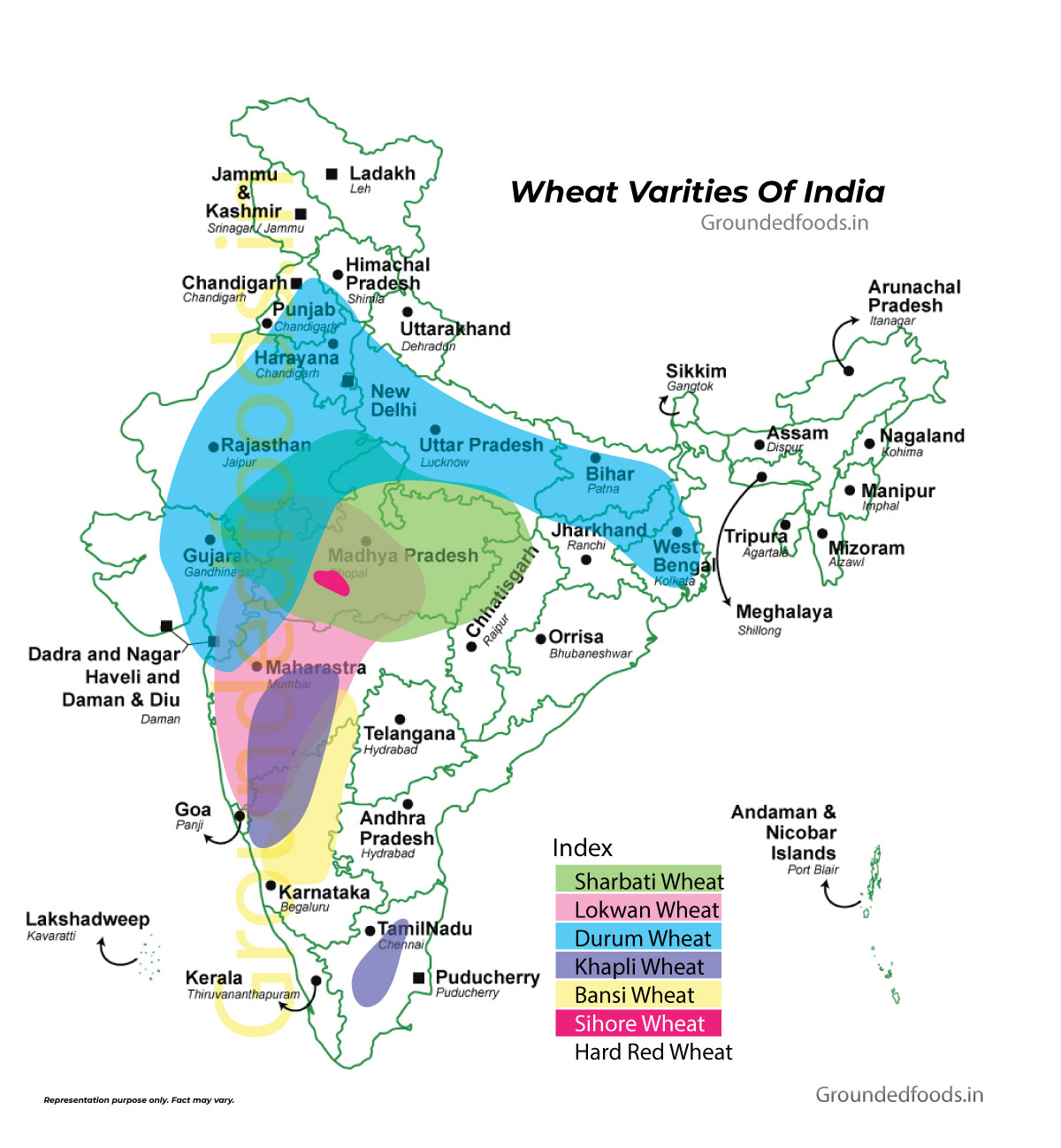 How to Mill Wheat Flour (Atta) at Home in India - Grounded Foods